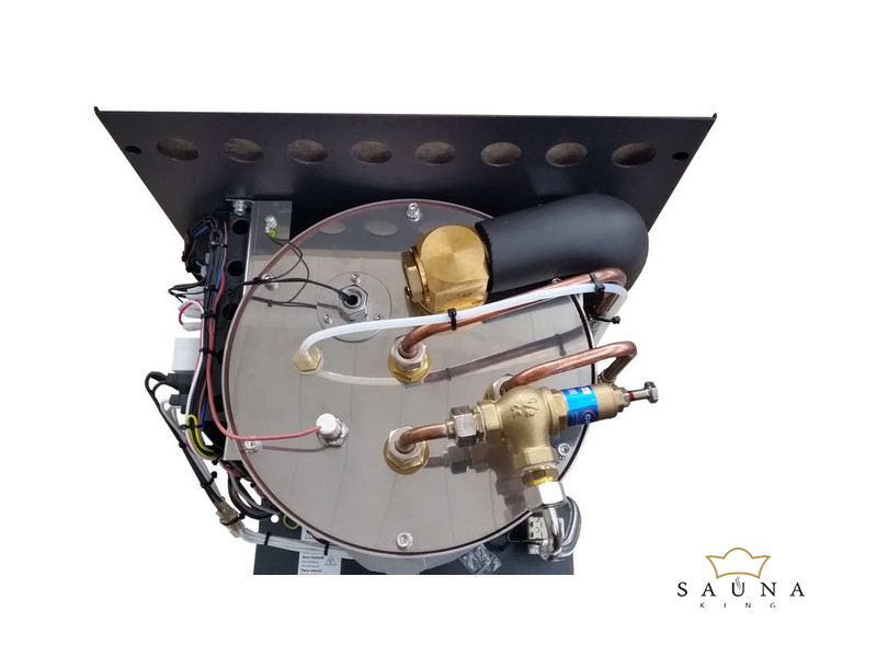 EOS Dampfgenerator SteamRock Premium mit EmoTouch 3 Steuerung ...